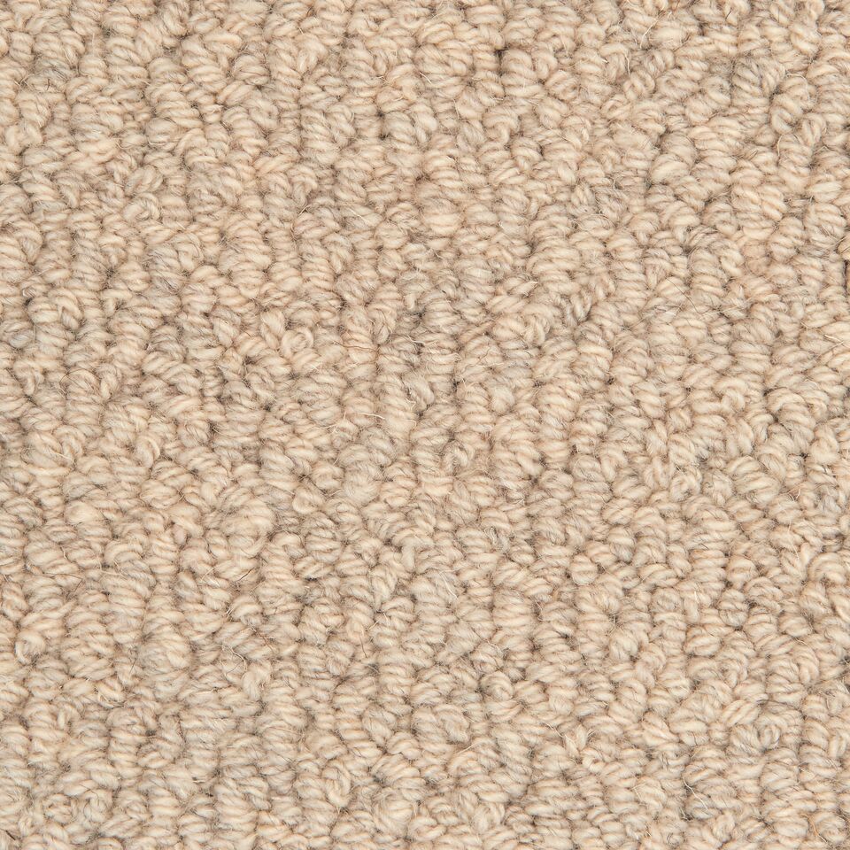 Nature’s Carpet Collection – Nature's Carpet