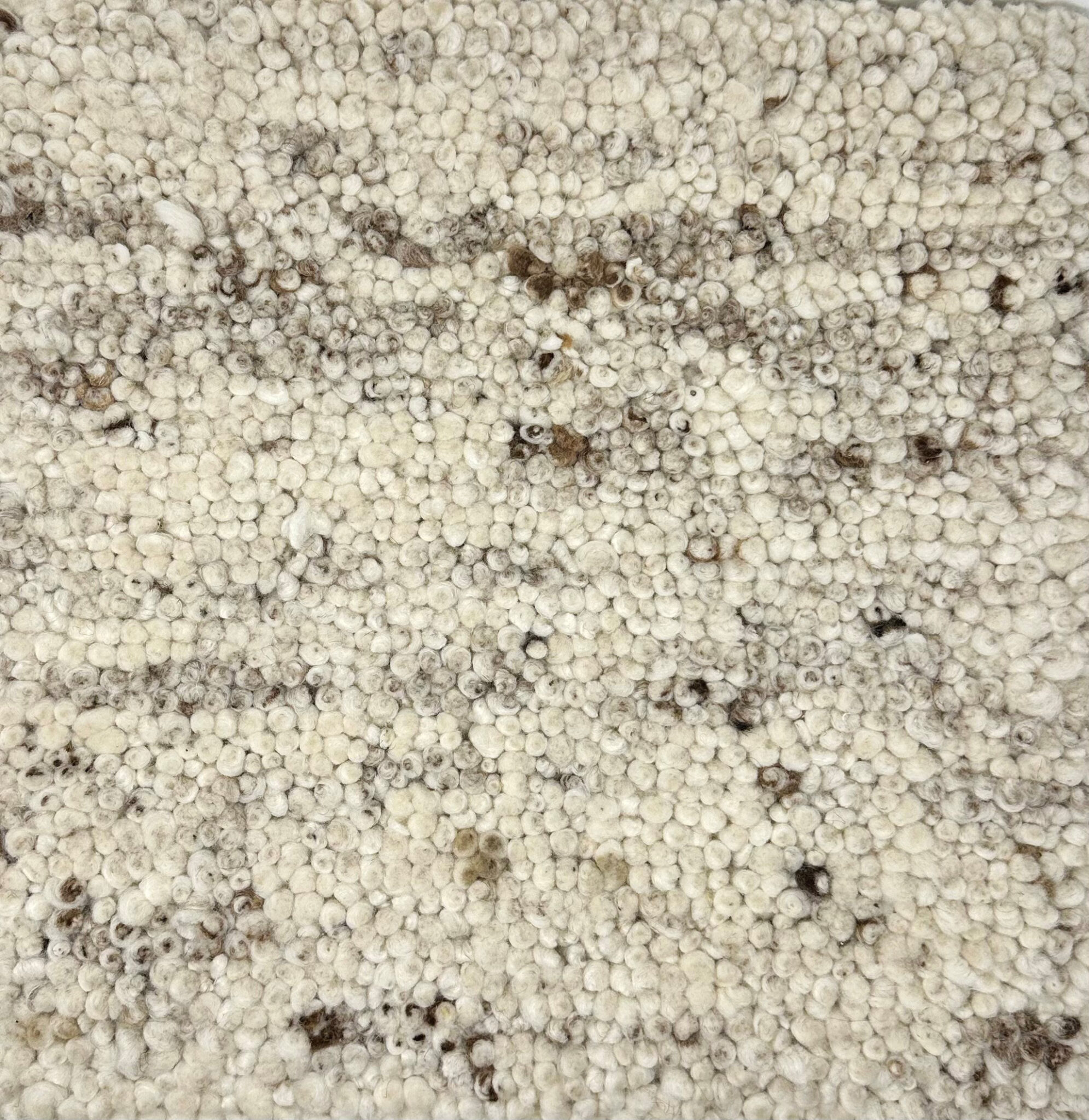 Wool Area Rugs – Nature's Carpet